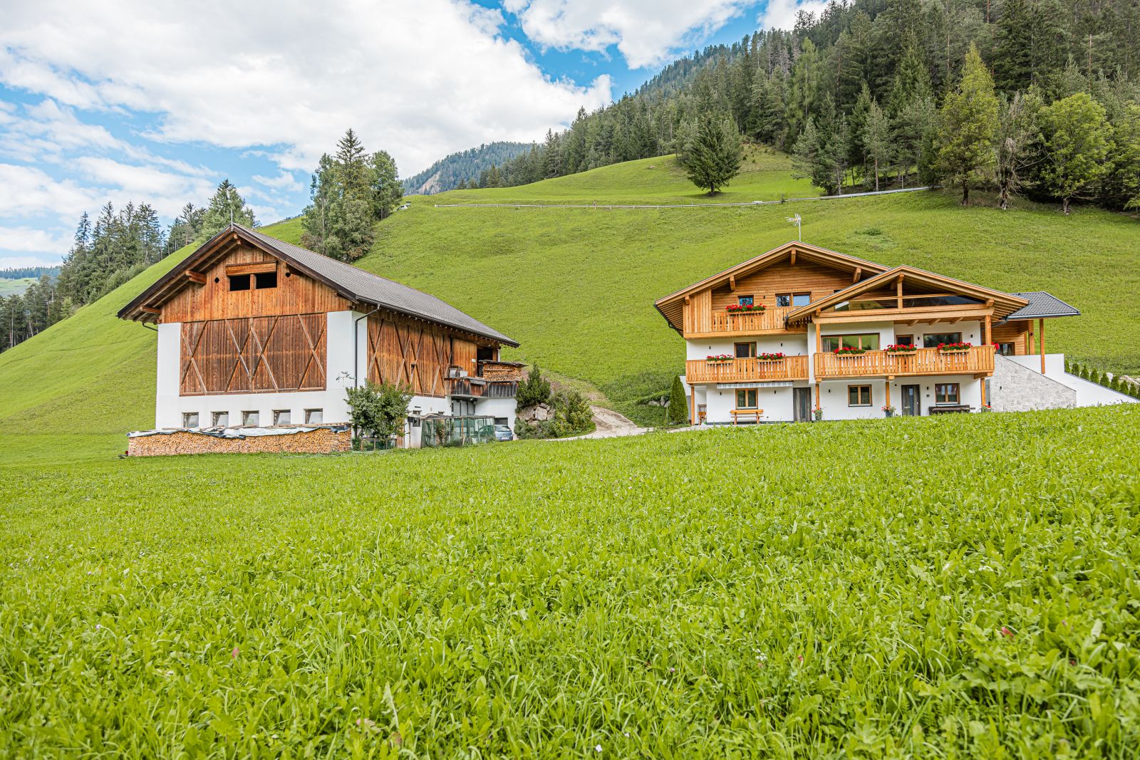 Holidays on the farm in Val Badia - Holidays farm in San Martino in Badia